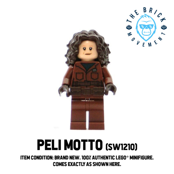 LEGO STAR WARS Peli Motto Minifigure – The Brick Movement